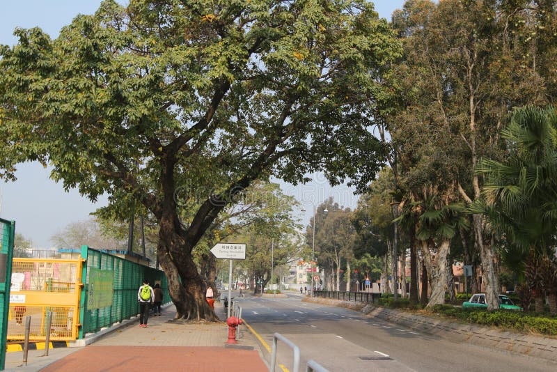 Fan Ling village editorial photography. Image of chinese - 59347357