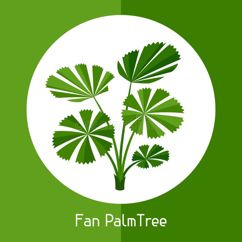 Fan Palm Tree Stock Illustrations – 2,139 Fan Palm Tree Stock ...