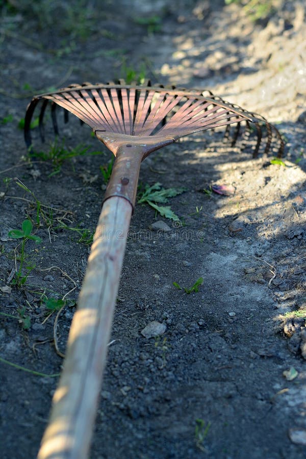 Fan rake stock image. Image of garden, cleanup, outdoor - 43553803
