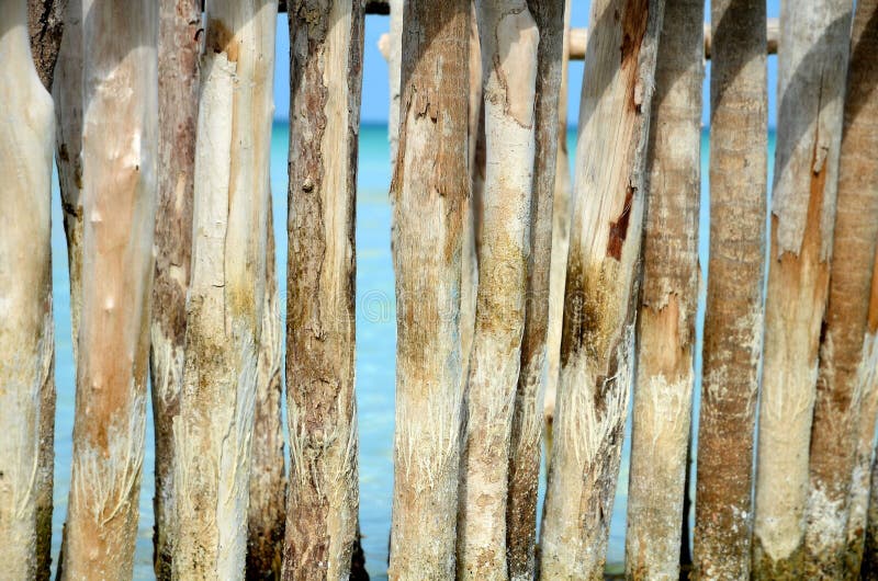 Fance stock photo. Image of wooded, aqua, anchor, tropic - 41590696