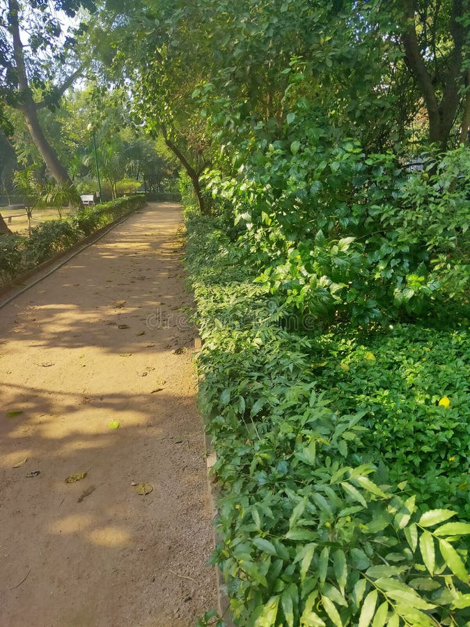 Fancing in green park stock photo. Image of green, beautiful - 168871528