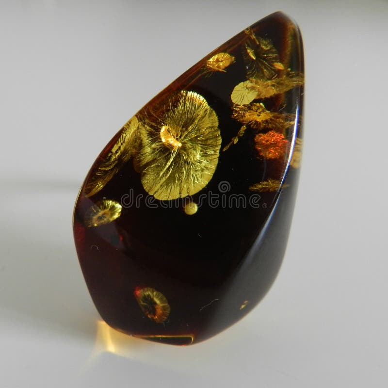 Fancy Baltic Amber stock photo. Image of baltic, inside - 179246902