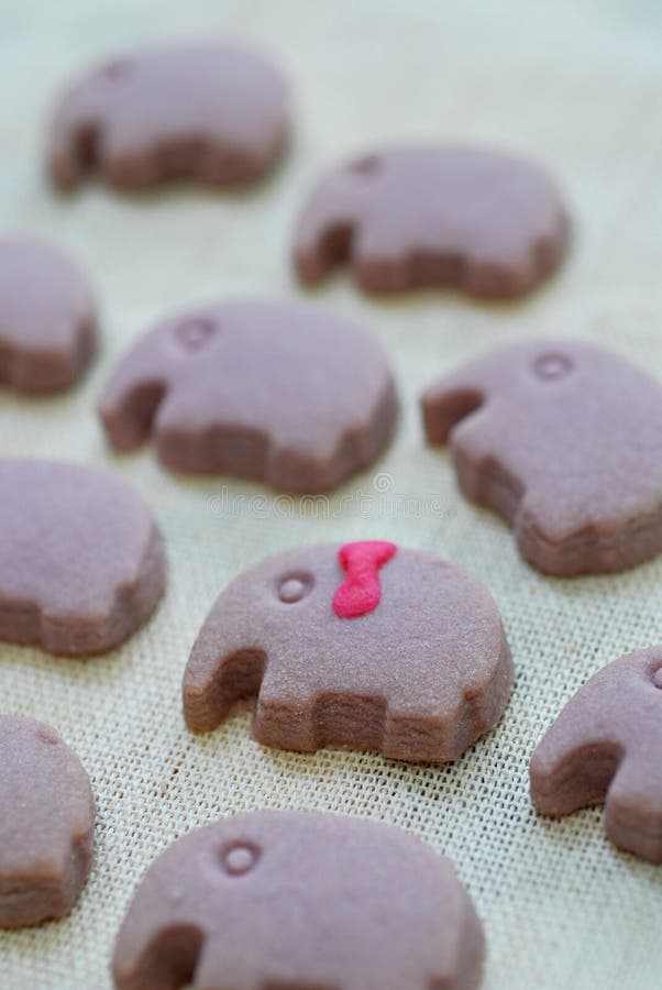 Box of Fancy Cookies for Holiday Stock Image - Image of tray, frosting ...