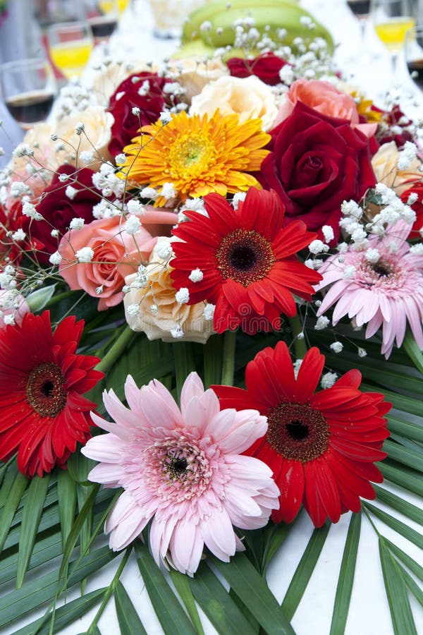 Fancy Daisy Display stock image. Image of leaf, pretty - 25532099