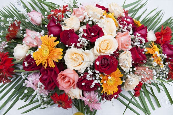 Fancy Daisy and Rose Display Stock Photo - Image of pink, color: 25571882