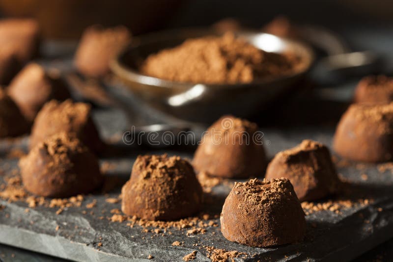 Fancy Dark Chocolate Truffles Stock Image - Image of dark, cacao: 48749807