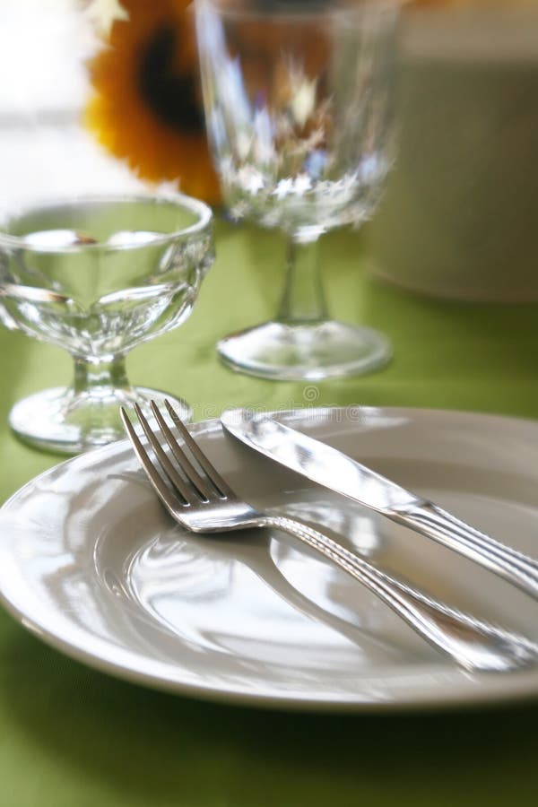 Fancy Dinner stock photo. Image of lunch, restaurant, green - 5505108