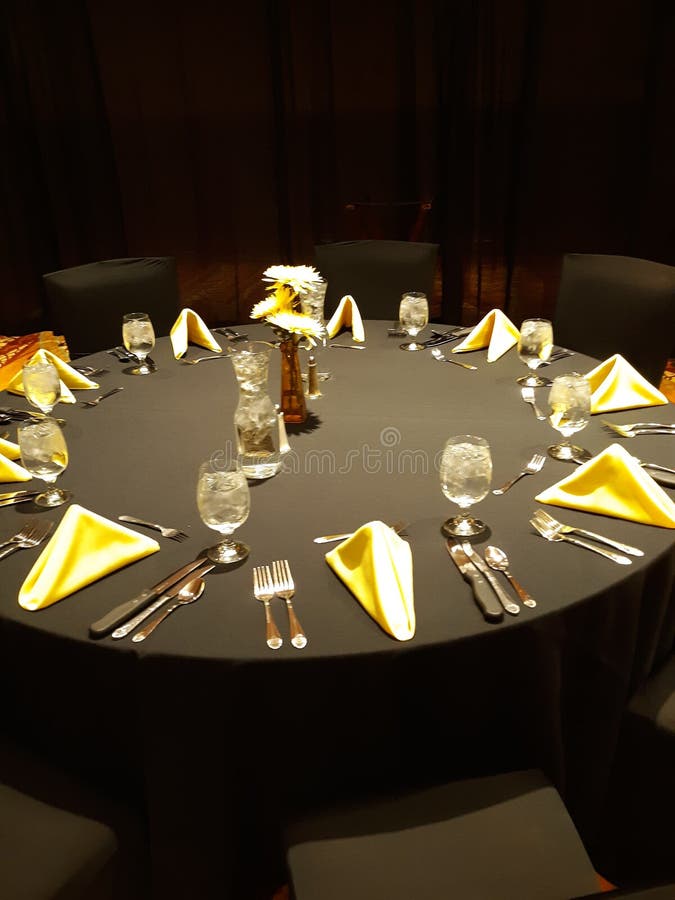 A fancy dinner out stock photo. Image of dinner, fancy - 148965586