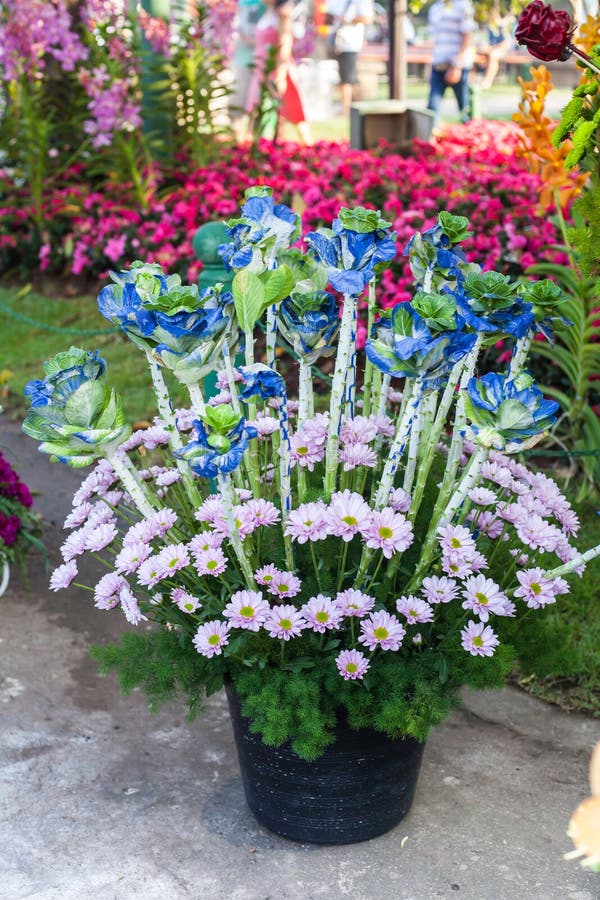 Fancy flowers stock image. Image of rose, plant, natural - 30311419