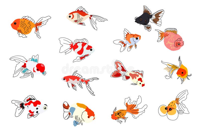 Fancy Goldfish Icons Vector Illustration Stock Vector - Illustration of ...