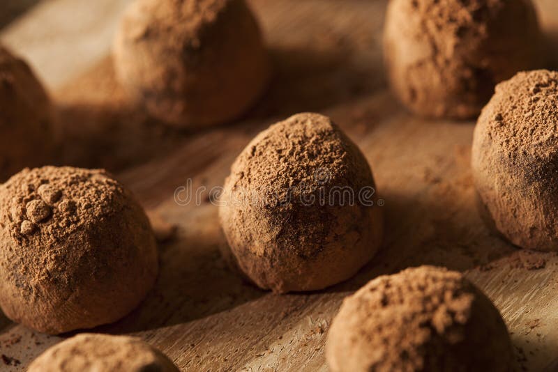 Fancy Gourmet Chocolate Trufffles Stock Photo - Image of chocolate ...