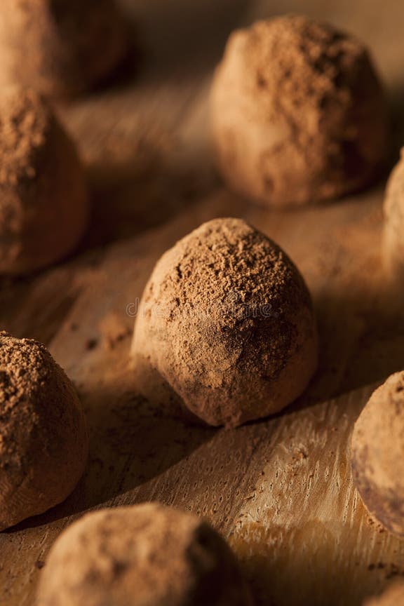 Fancy Gourmet Chocolate Trufffles Stock Photo - Image of treat ...