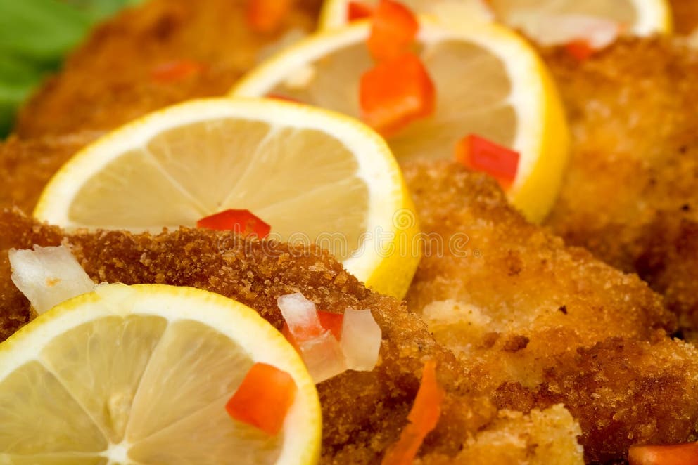 Fancy meal stock photo. Image of fancy, tomato, vegetable - 7601616