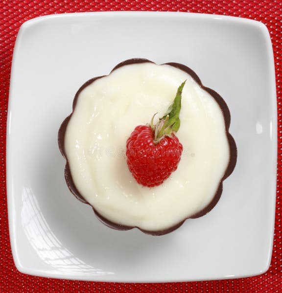 Fancy pudding dessert stock image. Image of single, lactose - 17763121