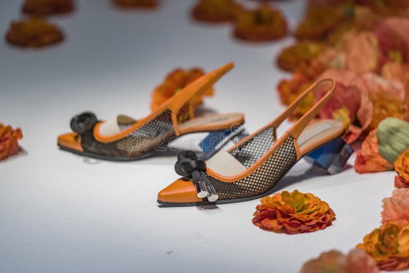 Fancy shoes stock photo. Image of bouquet, modern, fashion - 94734850