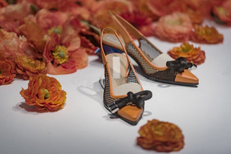 Fancy shoes stock photo. Image of celebration, closeup - 94735850