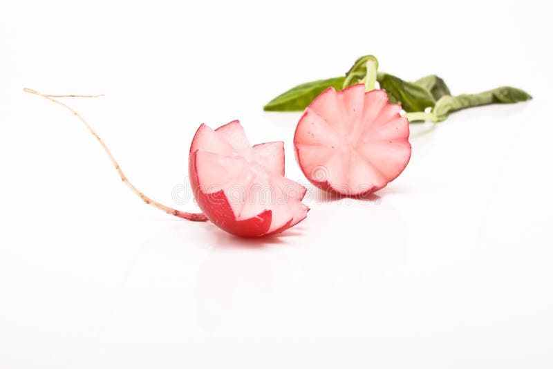 108 Cut White Raddish Stock Photos - Free & Royalty-Free Stock Photos ...