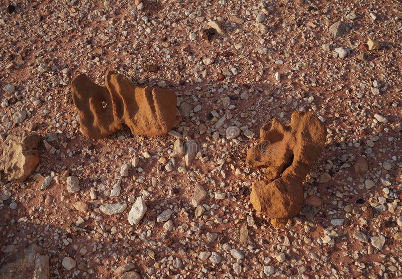 Fancy Stones Forms in Desert Stock Photo - Image of negev, drought ...