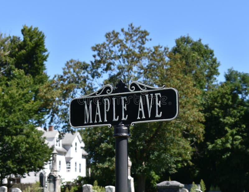 Fancy Street Sign - Maple Ave Stock Photo - Image of city, avenue ...