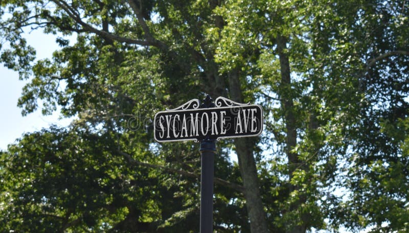 Fancy street sign stock photo. Image of sign, woodland - 330443828