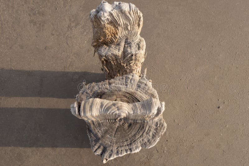 Fancy Texture of Ancient Wooden Pillars Covered with Salt Particles ...