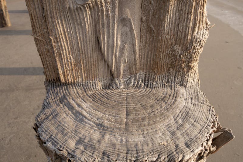 Fancy Texture of Ancient Wooden Pillars Covered with Salt Particles ...