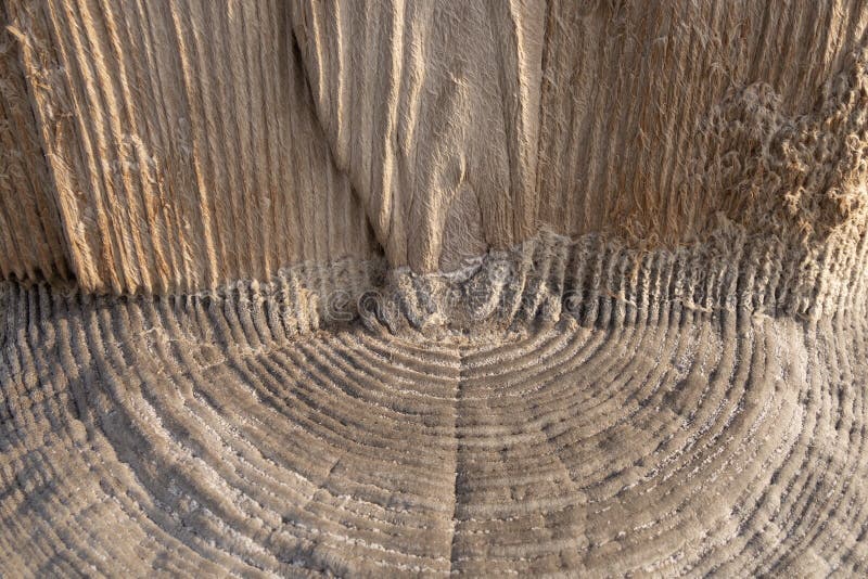 Fancy Texture of Ancient Wooden Pillars Covered with Salt Particles ...