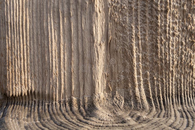 Fancy Texture of Ancient Wooden Pillars Covered with Salt Particles ...