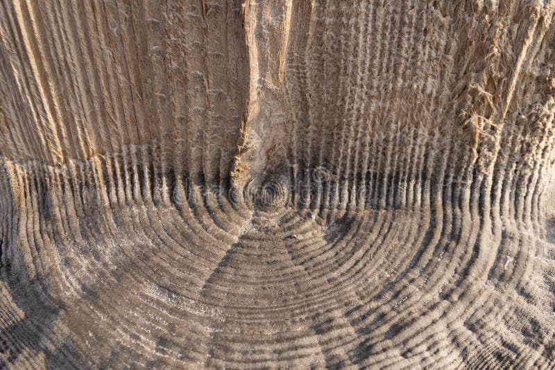 Fancy Texture of Ancient Wooden Pillars Covered with Salt Particles ...