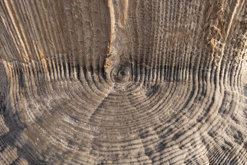 Fancy Texture of Ancient Wooden Pillars Covered with Salt Particles ...