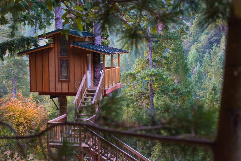 Fancy Tree House with a View of a Valley Stock Image - Image of built ...