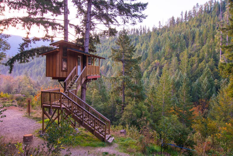 Fancy Tree House with a View of a Valley Stock Image - Image of ...