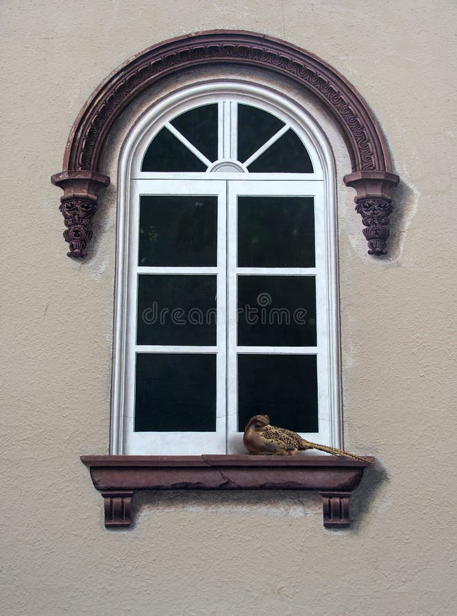 Fancy Window stock photo. Image of window, house, view - 343736