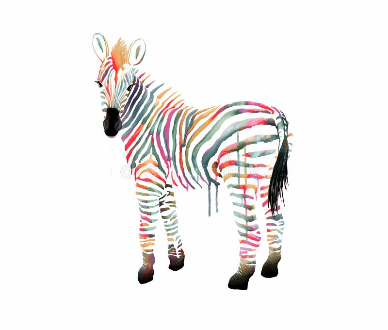 Fancy Zebra with Colorful Stripes Stock Illustration - Illustration of ...