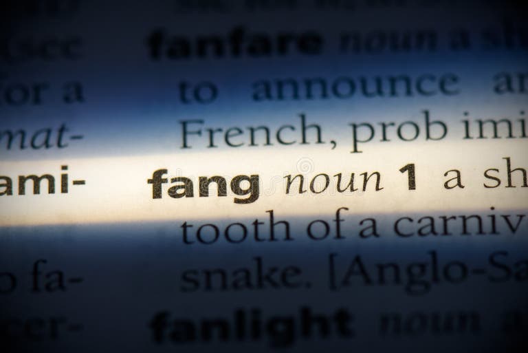Fang stock image. Image of vocabulary, learn, language - 161577561