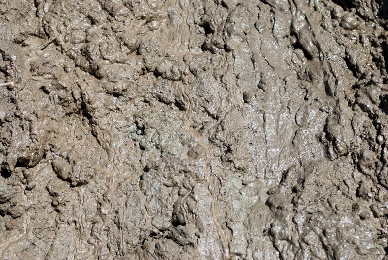 Dos Huellas En Fango Mojado Imagen de archivo - Imagen de plomo ...