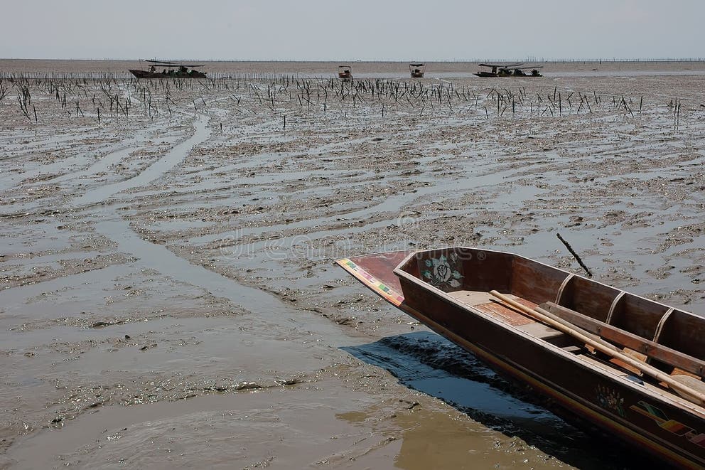 Fango de la playa foto de archivo. Imagen de fondo, costa - 14402646