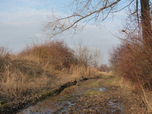 Fango E Pozze Sulla Strada Non Asfaltata Fotografia Stock - Immagine di ...