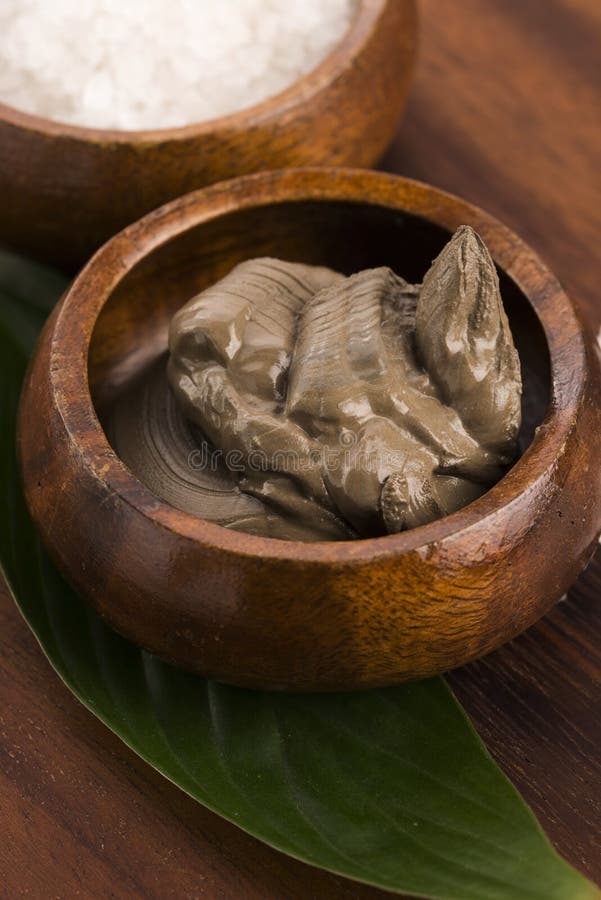 Fango e sale del mar Morto immagine stock. Immagine di facciale - 50302129