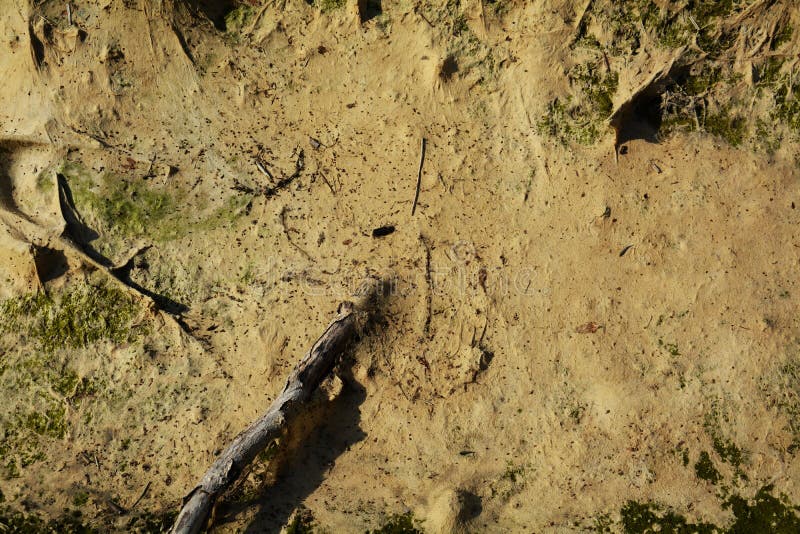 Fango Nel Campo, Sfondo Naturale Fotografia Stock - Immagine di naughty ...