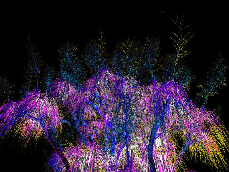 Digital palm trees stock photo. Image of desert, small - 105797988