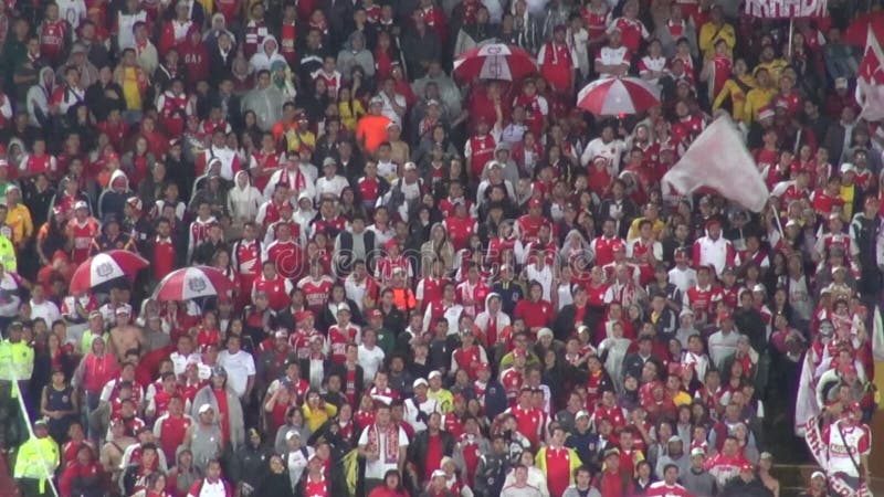 Fans, Audiences, Spectators Stock Footage - Video of applause, cheering ...