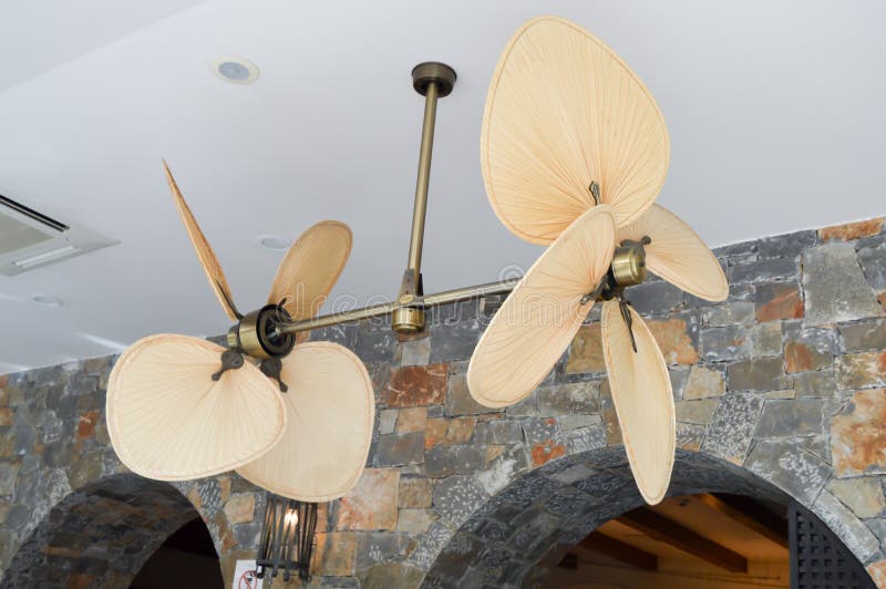 Fans with a Shaft and Two Blade Stock Photo - Image of device, indoor ...