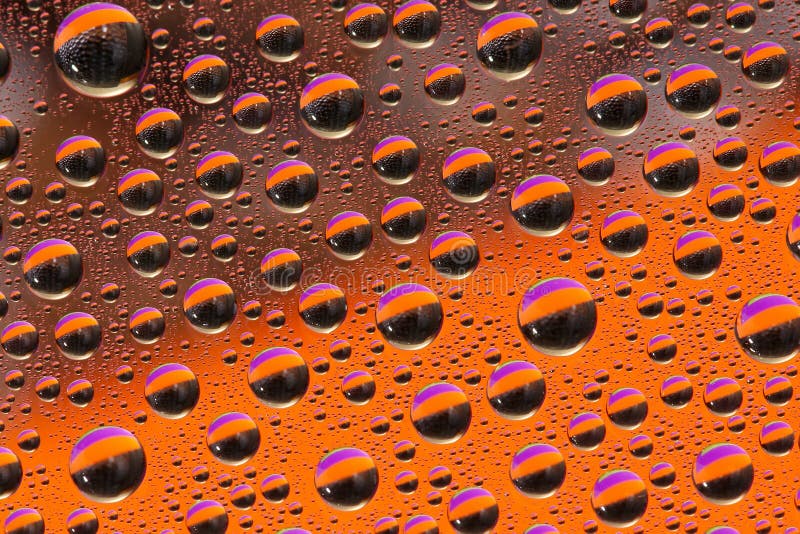 Fantastic drops stock image. Image of clean, green, drop - 10710059