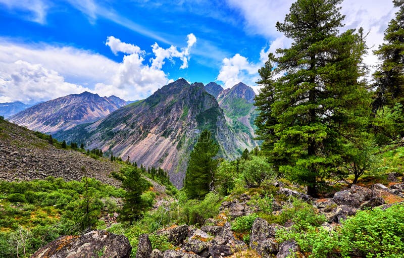 Fantastic Landscape in Siberian Mountains Stock Photo - Image of bush ...