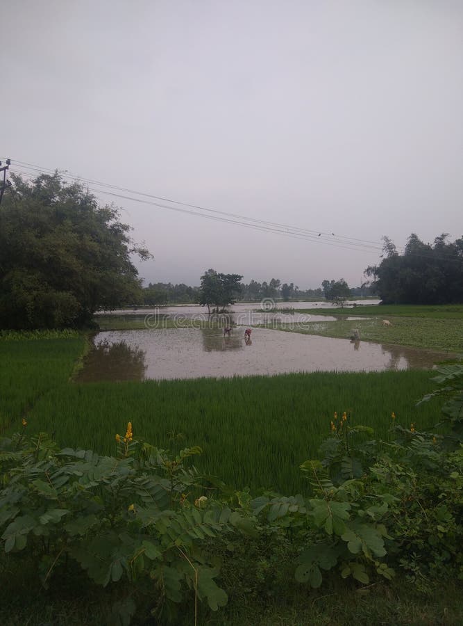 A Fantastic Landscape View of an Open Field of Rural Area of Beautiful ...