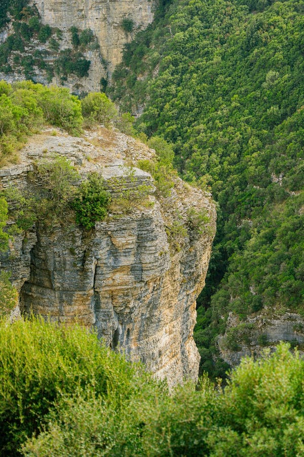 Fantastic Scene of Green Meadows and Forested Mountain Ranges in Sunny ...