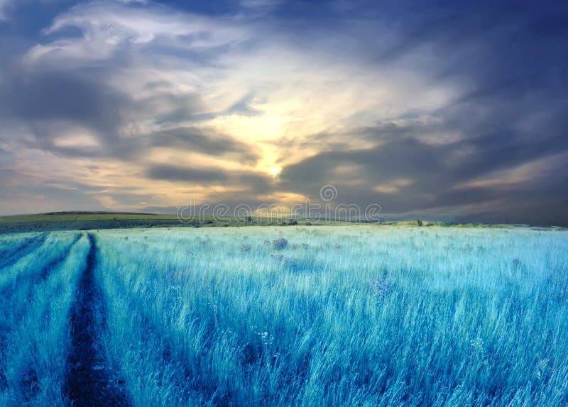 Fantastic Sky and Field Landscape. Blue Color Nature Background Stock ...