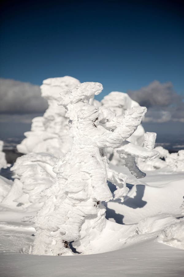 Fantastic Snow Figures on Trees. Stock Image - Image of textured ...