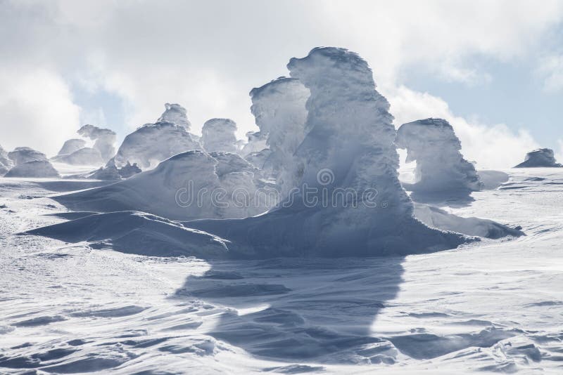 Fantastic Snow Figures on Trees. Stock Photo - Image of warming, snowy ...